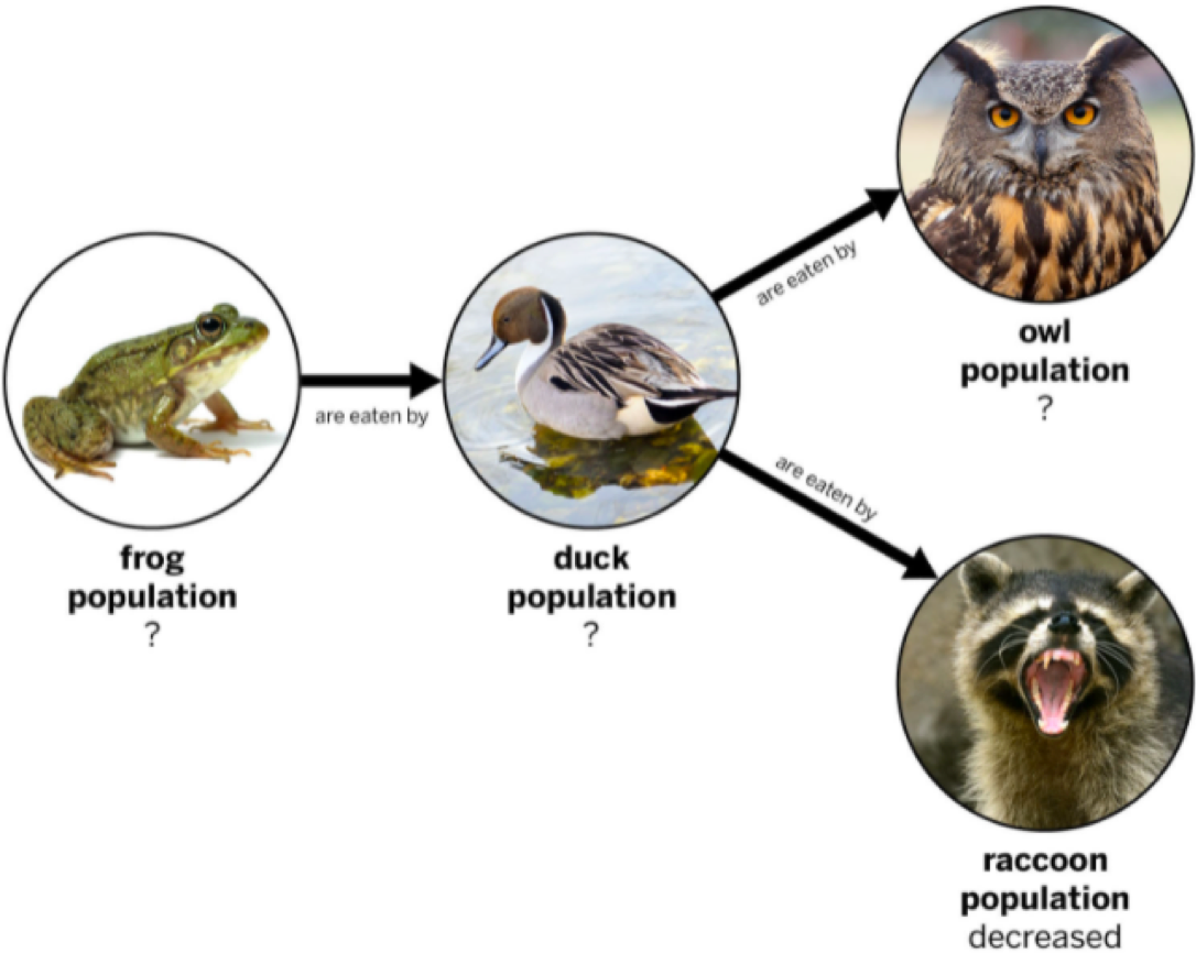 POPULATIONS AND RESOURCES UNIT EXAMS - Emmanuel Obeney | Library ...