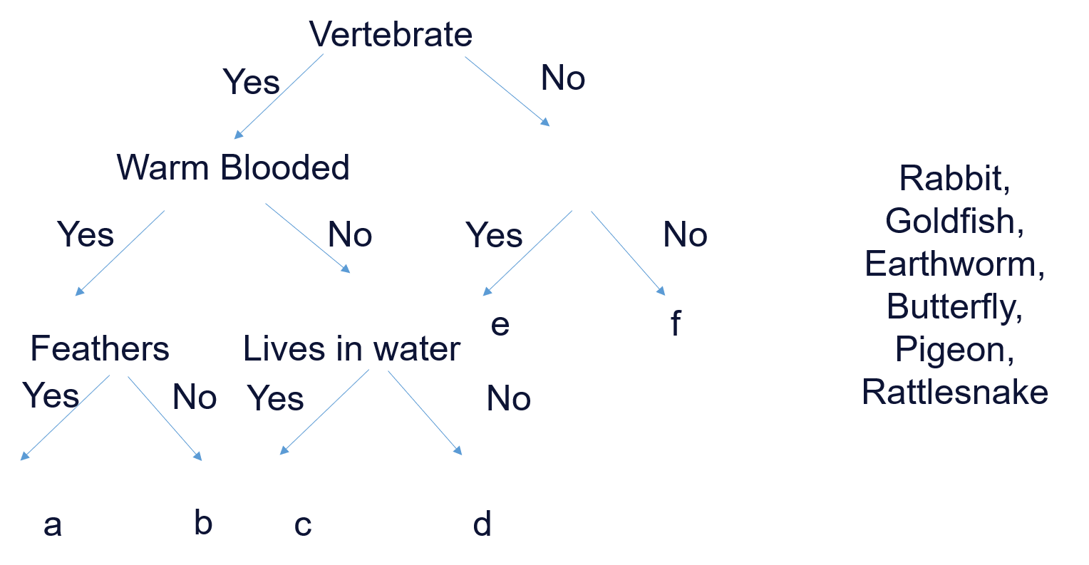 Classification and Keys OALH - Thomas Pearson | Library | Formative
