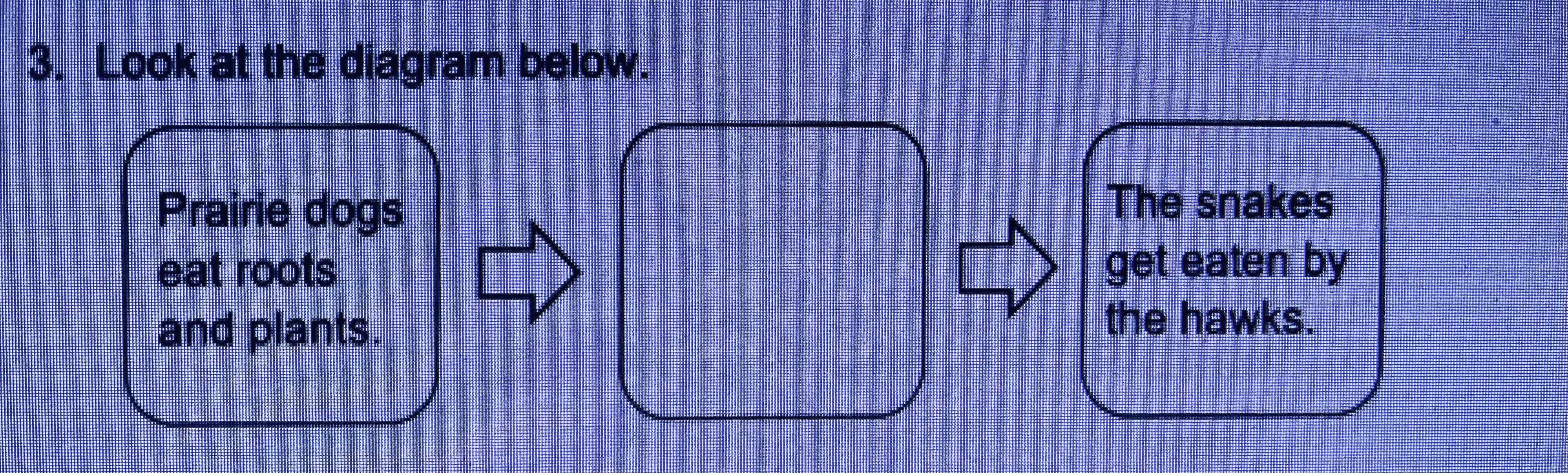 Nature's Patchwork Quilt - Allison DeLoach | Library | Formative