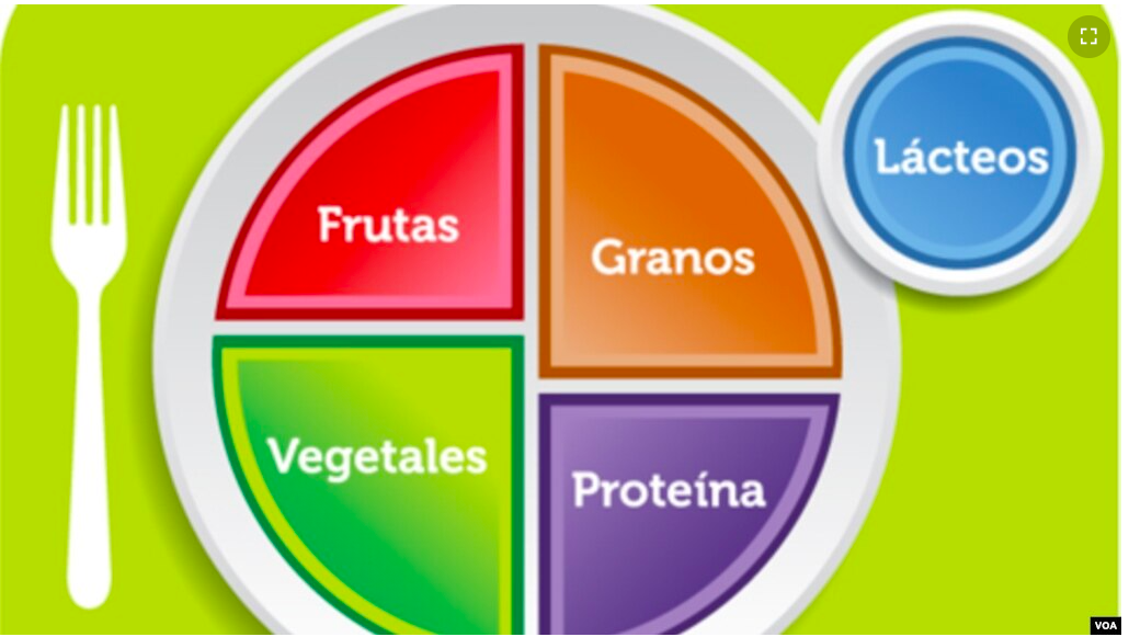 Mi Plato - Julie Jezuit | Library | Formative