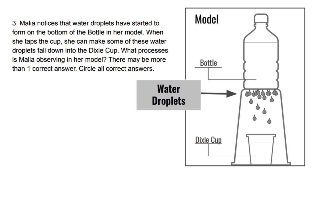 Watery Planet Mystery 4 - Fernanda Carannante | Library | Formative