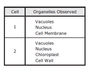7.12 D Plant v. Animal Cells - Samantha Varela | Library | Formative
