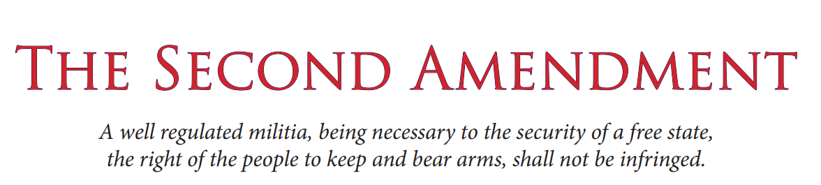 Classwork/Homework - The Bill of Rights -- 2nd Amendment - Haiyen ...