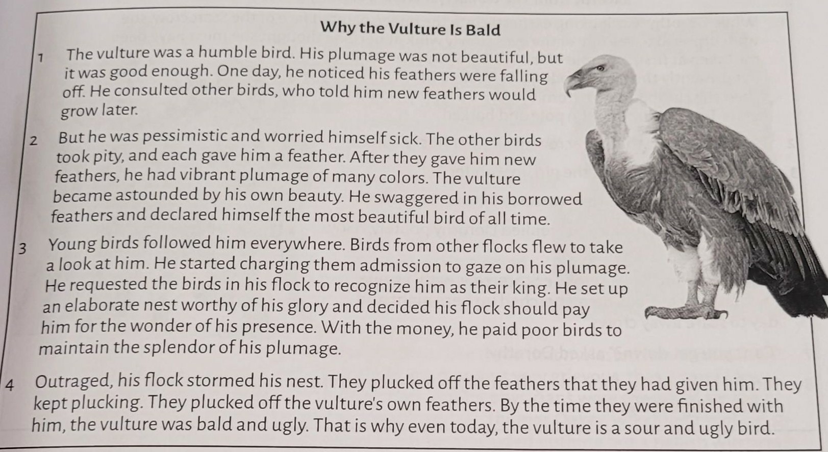 RL/RI 2: Learning Target 1 - Christy McCormick | Library | Formative