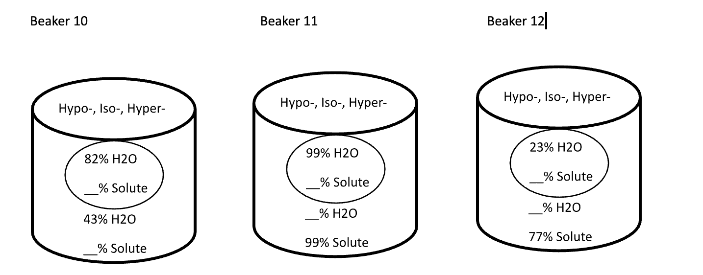Osmosis Worksheet - CHRISTIANNA GALEN | Library | Formative