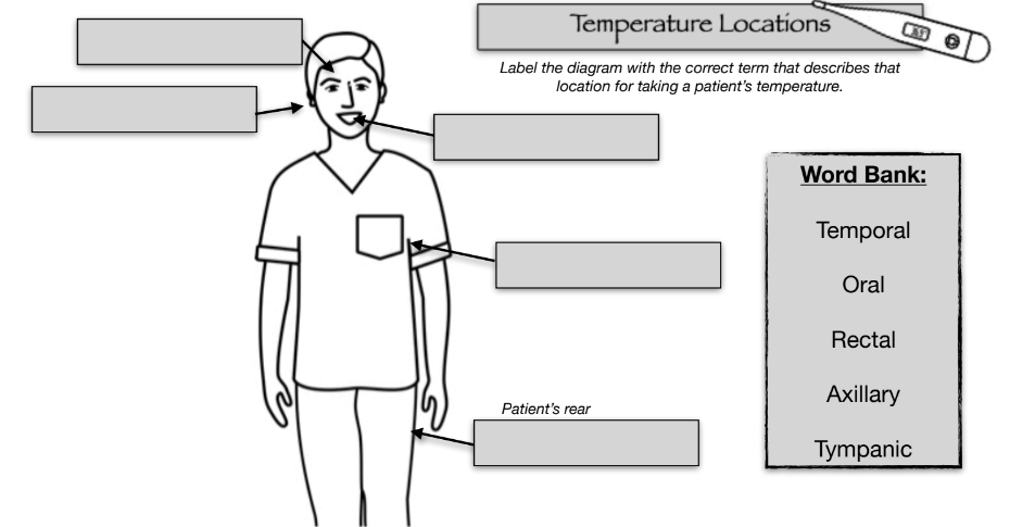 Vital Signs - Katelyn Owens | Library | Formative