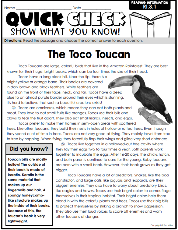 RI3.1 The Toco Toucan - Latonya Whitaker | Library | Formative