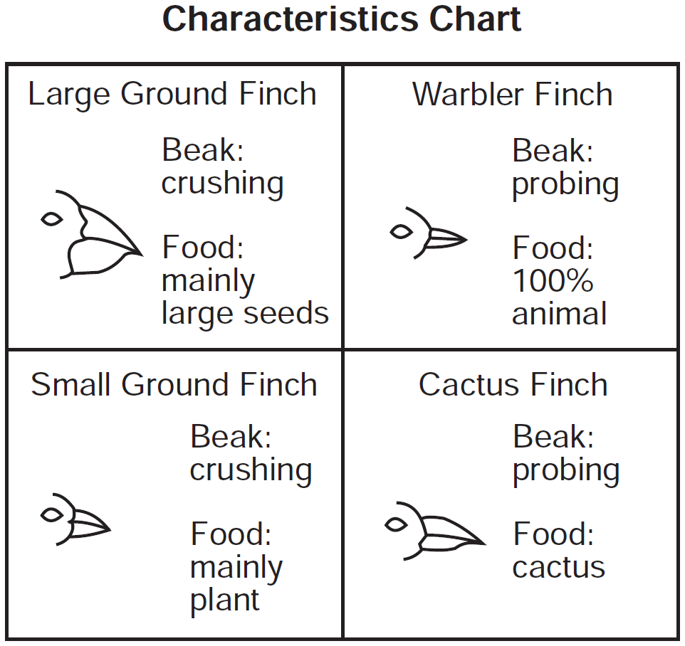 Concept Check: NYS Beaks of Finches - Faith Schutt | Library | Formative