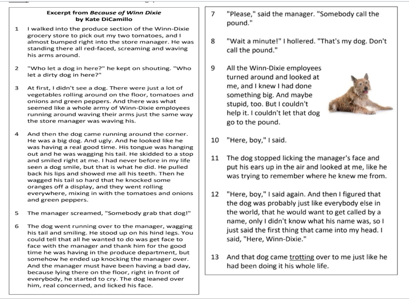 STAAR Blitz 2 Exit Ticket - Lilia Reyna | Library | Formative