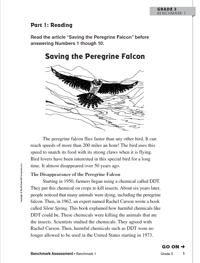 Saving the Peregrine Falcon - Erin Scagnelli | Library | Formative