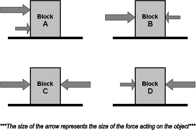 Forces and Motion Test - Anna Scales | Library | Formative